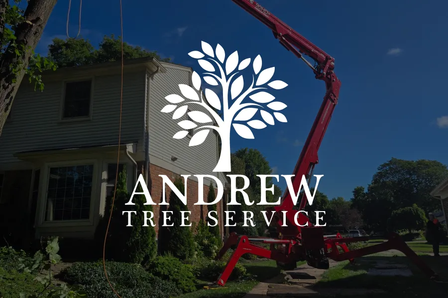 Garden City, MI - Andrew Tree Service, LLC